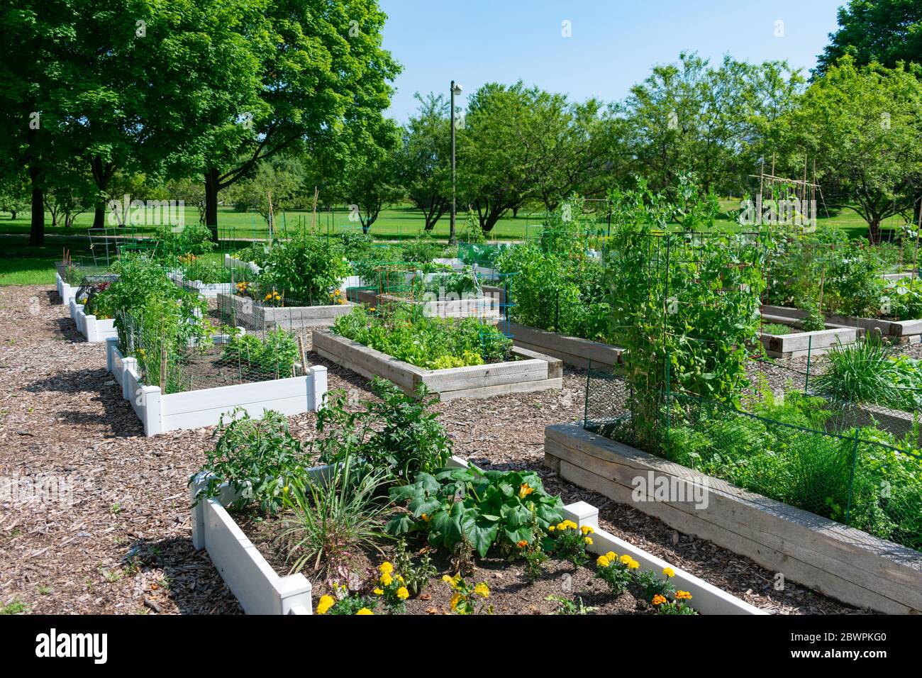 Community Garden Plots High Resolution Stock Photography and Images - Alamy