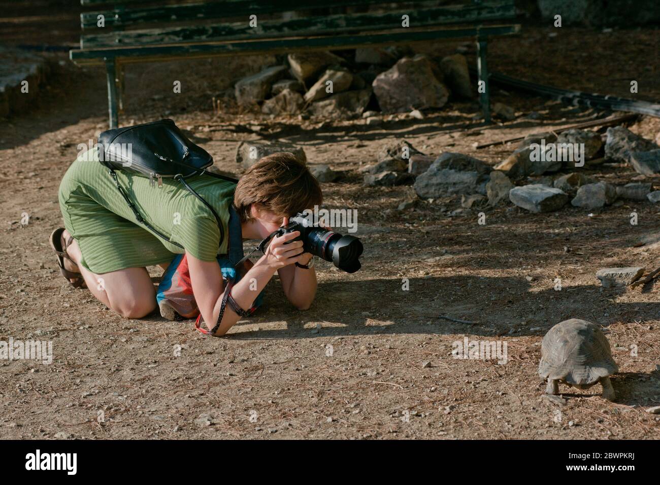A tourist photographing a tortoise in the Athens Acropolis, Greece ...