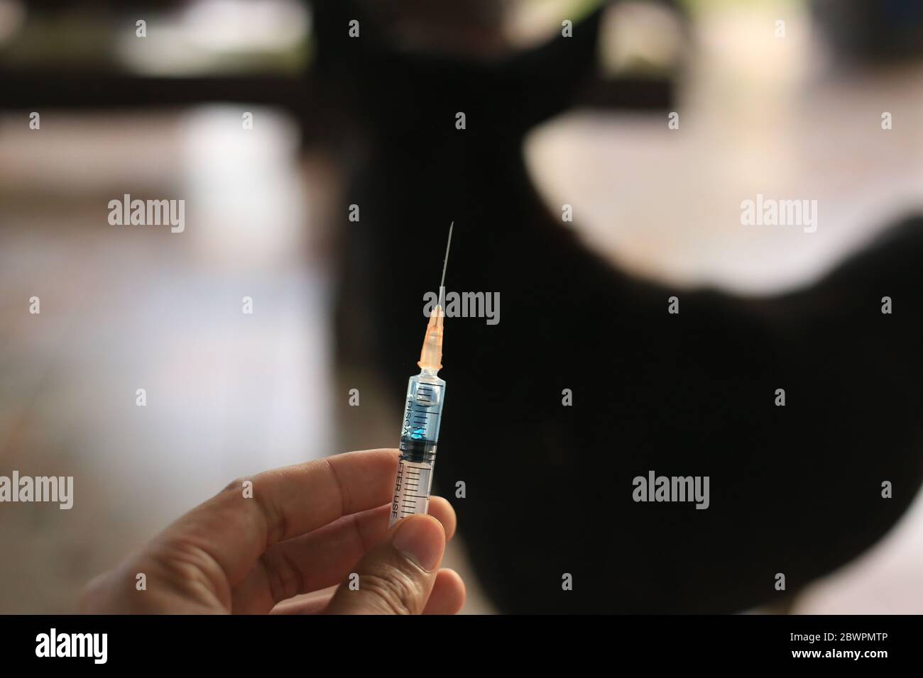 Vaccine Rabies Bottle and Syringe Needle Hypodermic Injection ...