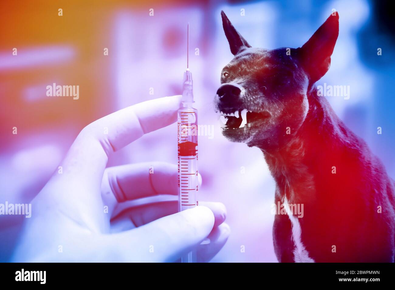 Vaccine Rabies Bottle and Syringe Needle Hypodermic Injection ...