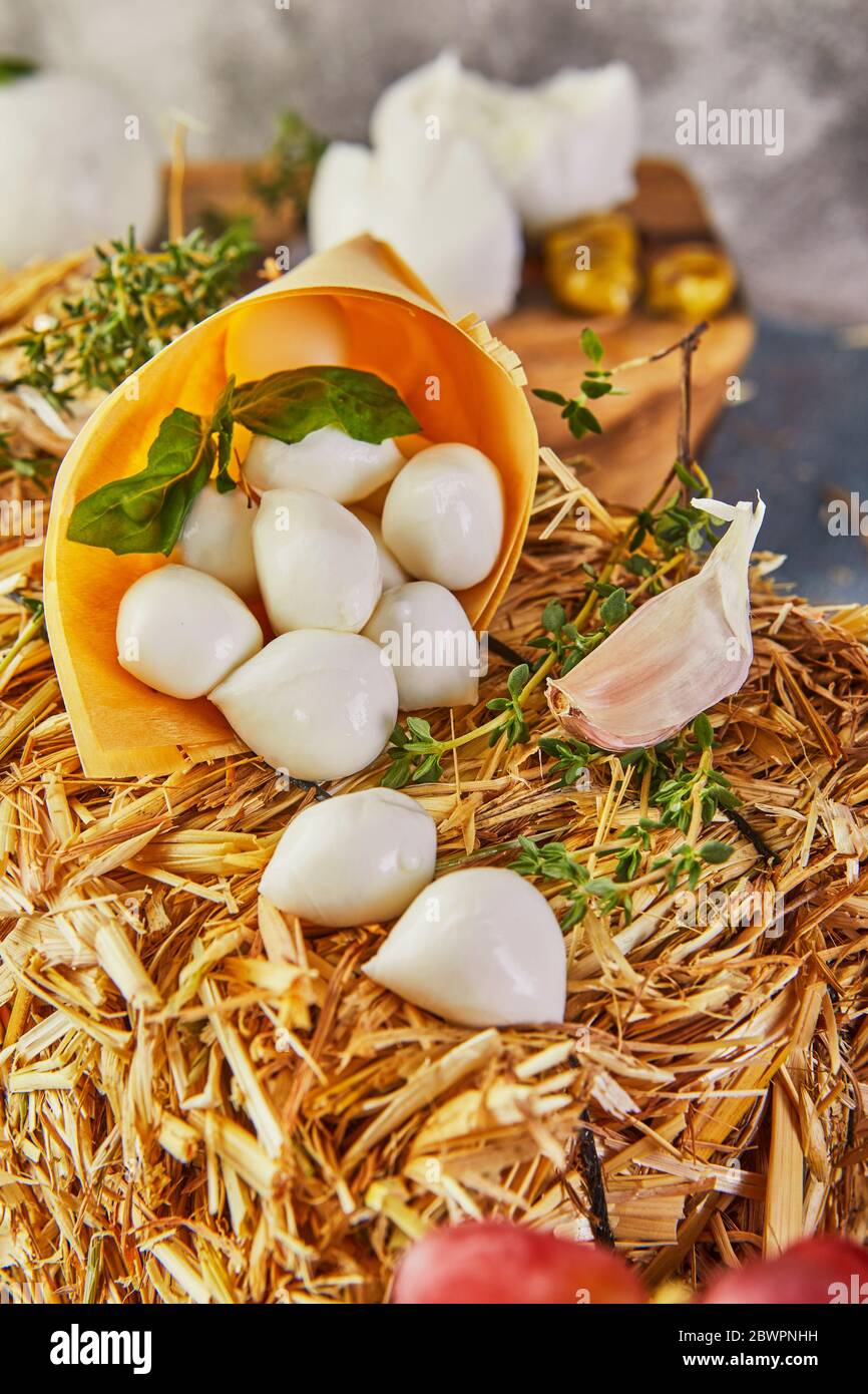 Baby mozzarella cheese on a hay with grapes and garlic on a blue ...