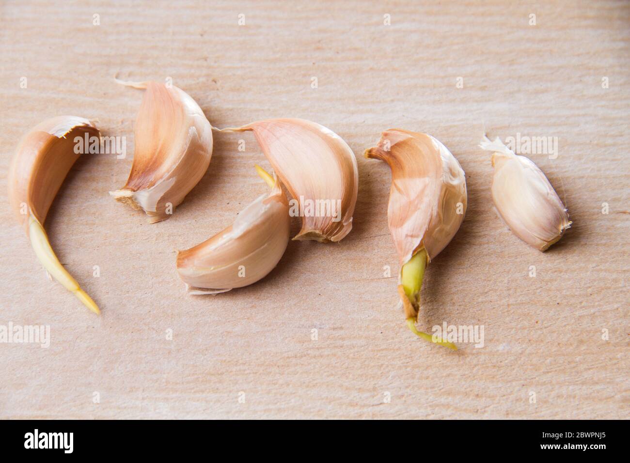 Tooth of garlic Stock Photo - Alamy