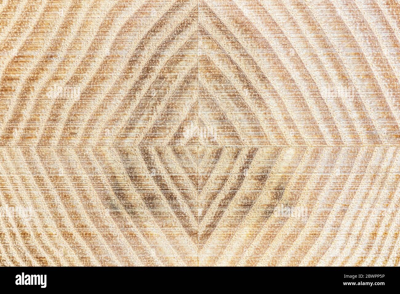 Cross section timber section hi-res stock photography and images - Alamy