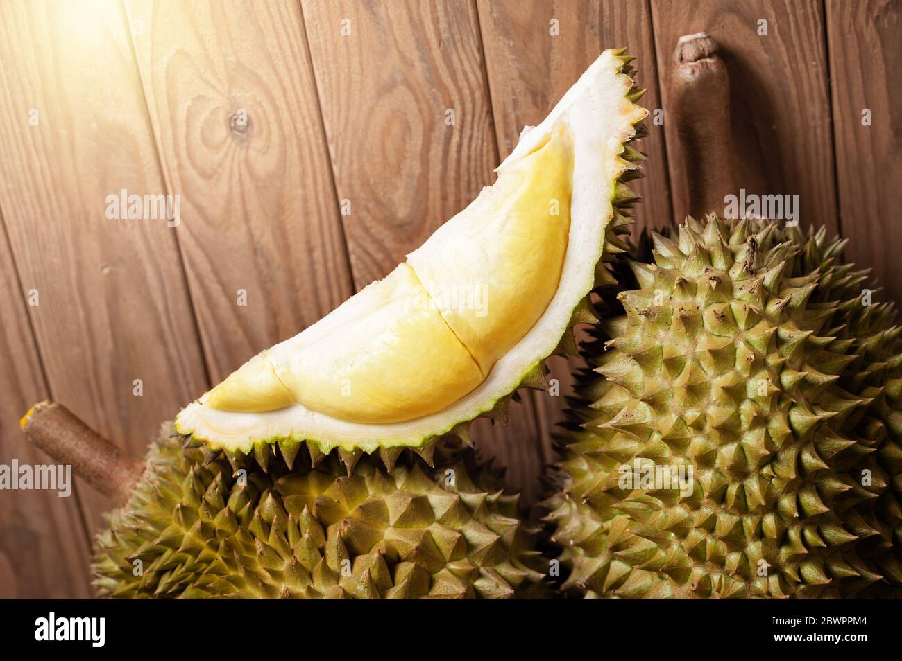 closeup flesh inside Mon Thong durian fruit. Regarded by many people in ...