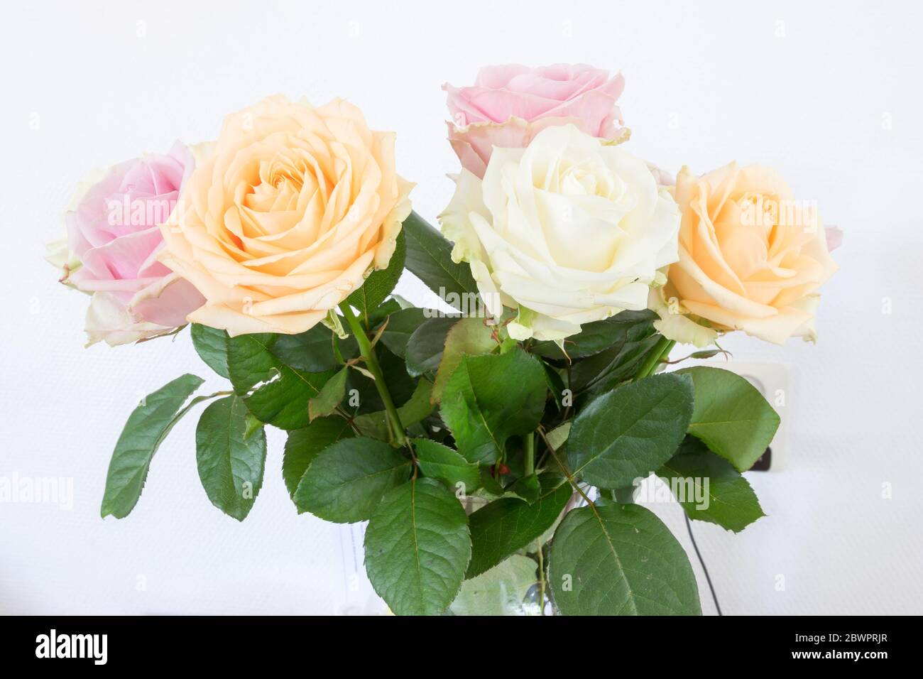 Beautiful pastel colored roses arranged in a vase against white ...