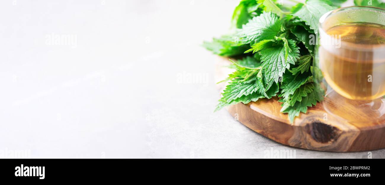 Cup of healthy herbal tea with nettle. Alternative herbal medicine ...