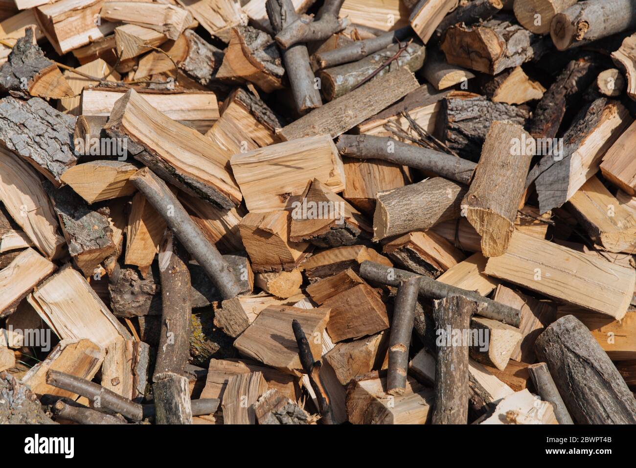 Texture, chopped firewood from different species of trees. Preparation ...