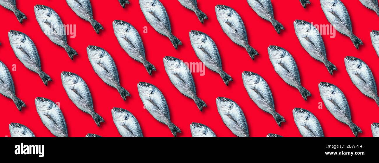 Fish pattern on red background. Top view. Creative design for packaging ...