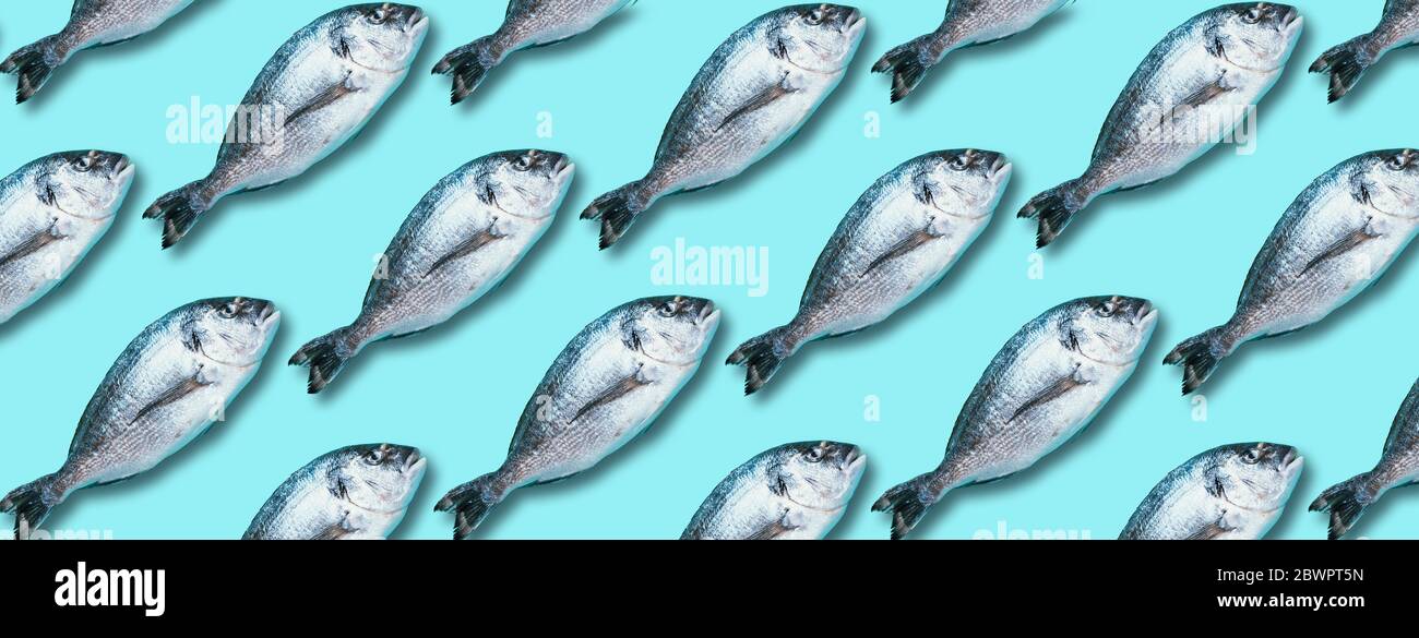 Fish pattern on blue background. Top view. Creative design for ...