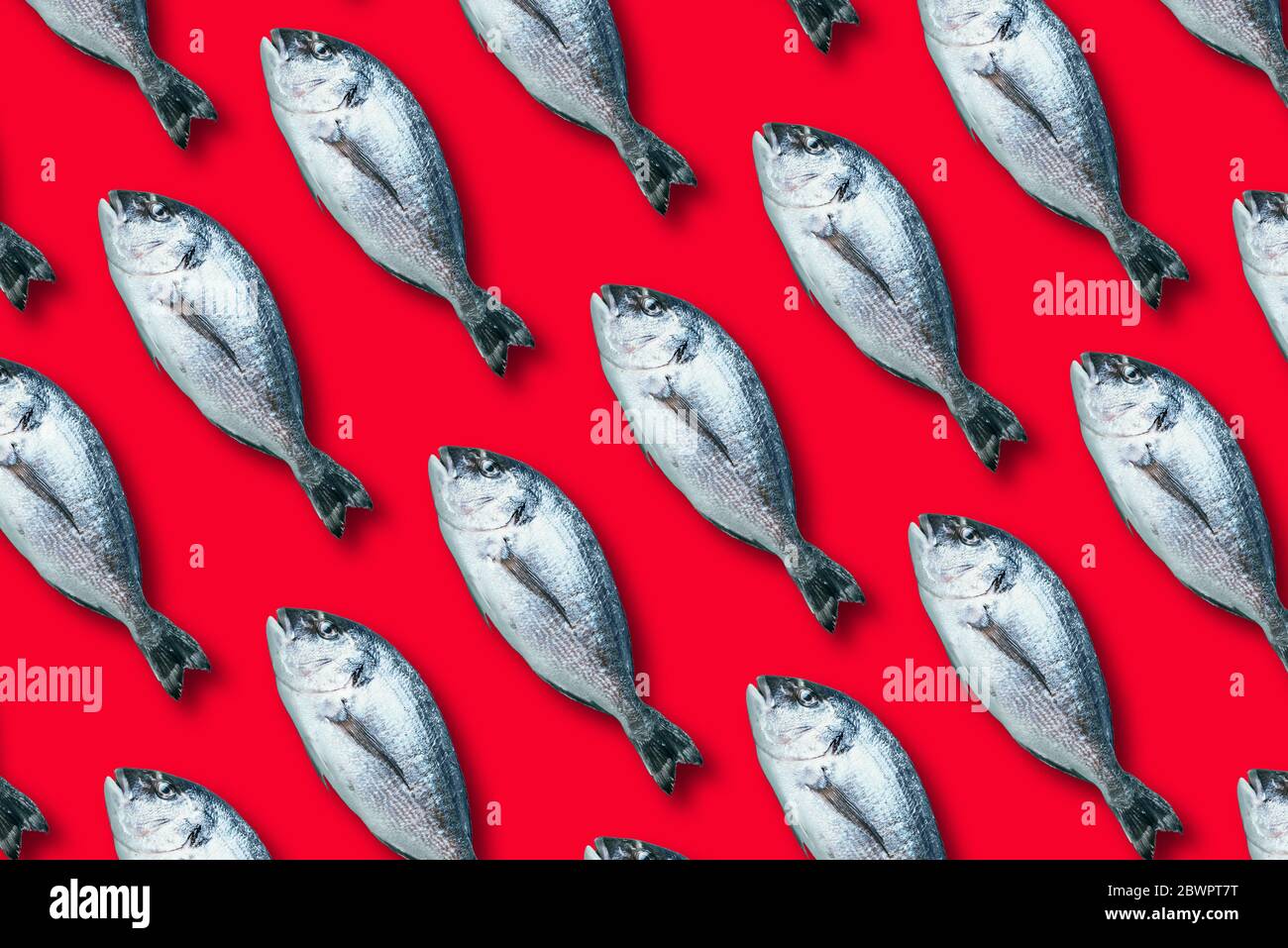 Fish pattern on red background. Top view. Creative design for packaging ...