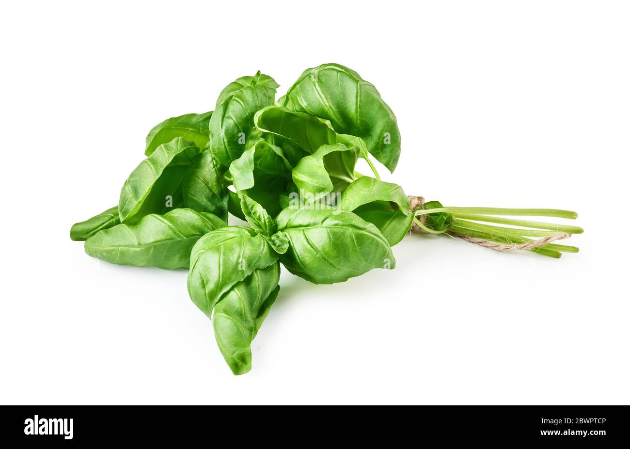 Natural green leaves pattern Cut Out Stock Images & Pictures - Alamy