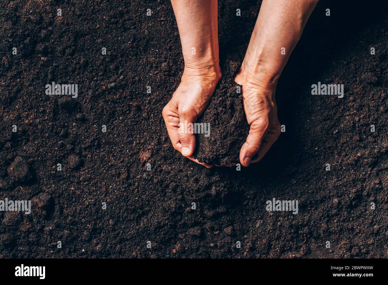 Black dirt hands hi-res stock photography and images - Alamy