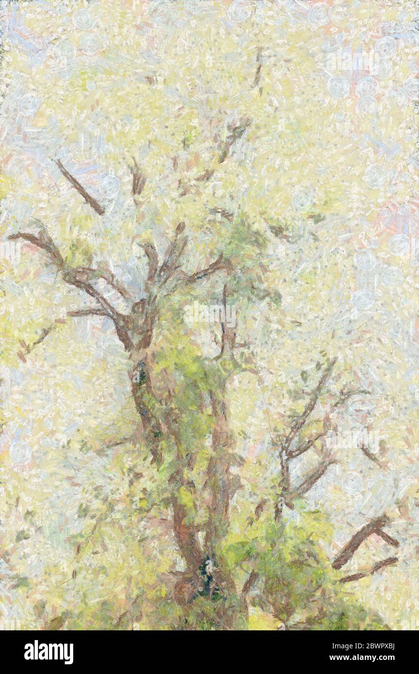 Antique store Illustrations creates an impressionist style of painting ...