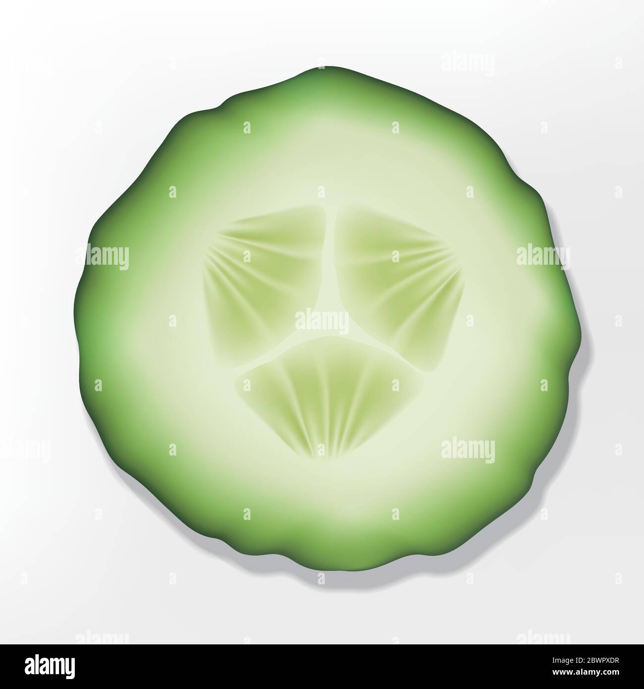 Vector Cut Out Sliced Cucumber Flat Lay Illustration Stock Vector Image ...