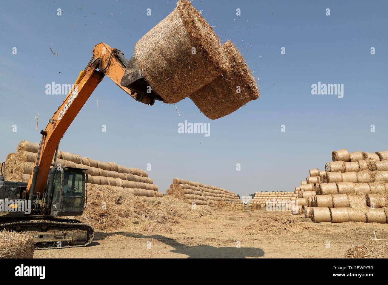 Biomass power plants china hi-res stock photography and images - Alamy
