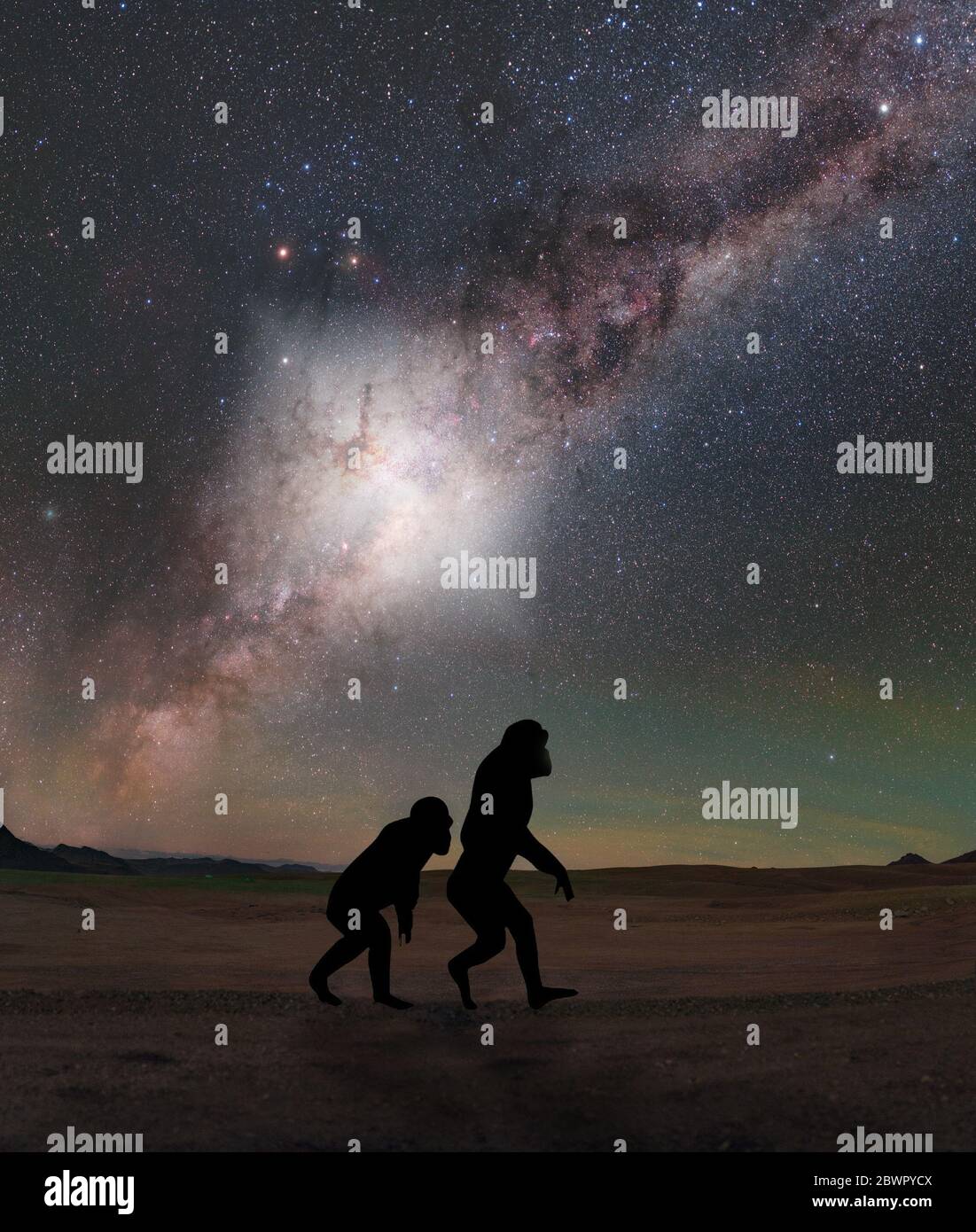 3 5 Million Years Ago High Resolution Stock Photography and Images - Alamy