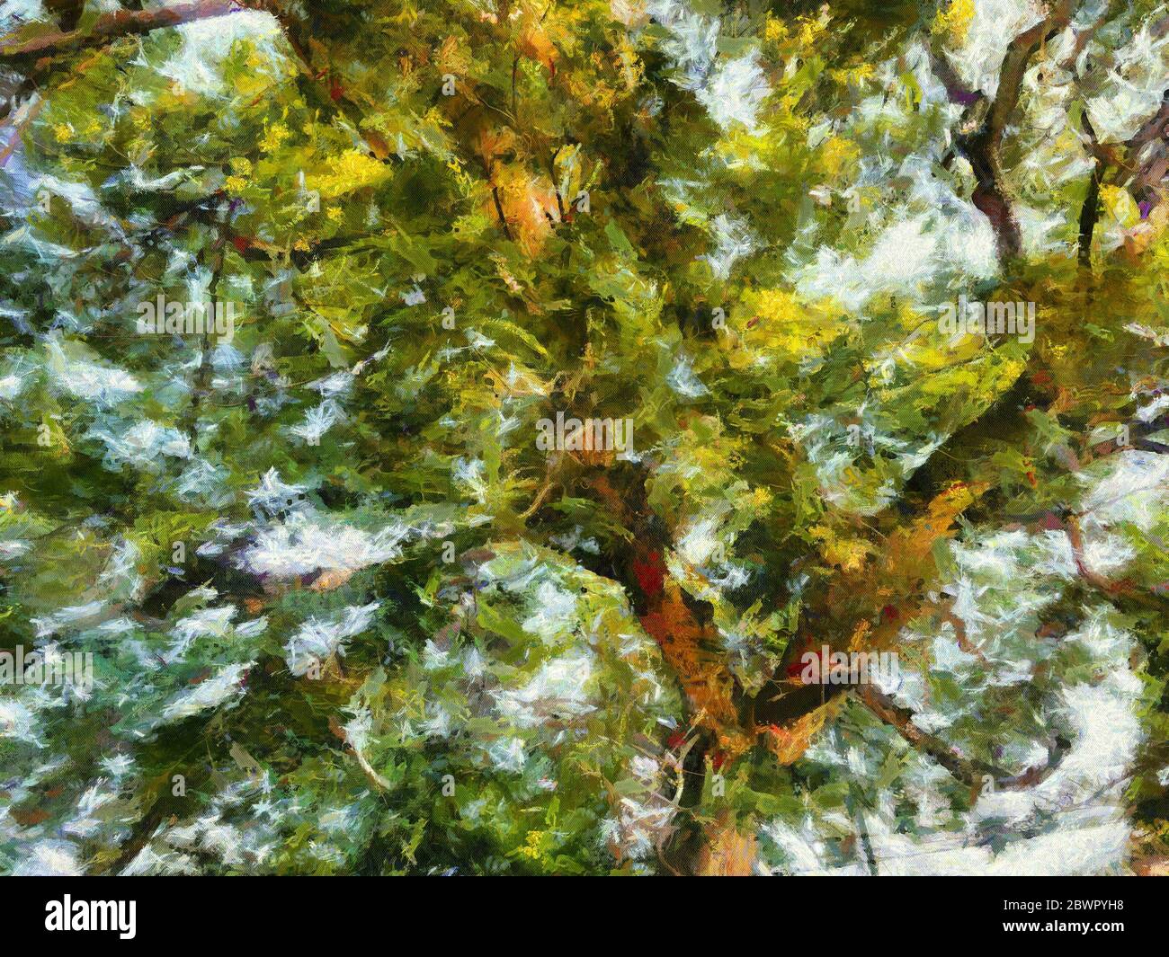 Perennial trees with large green shrubs Illustrations creates an ...