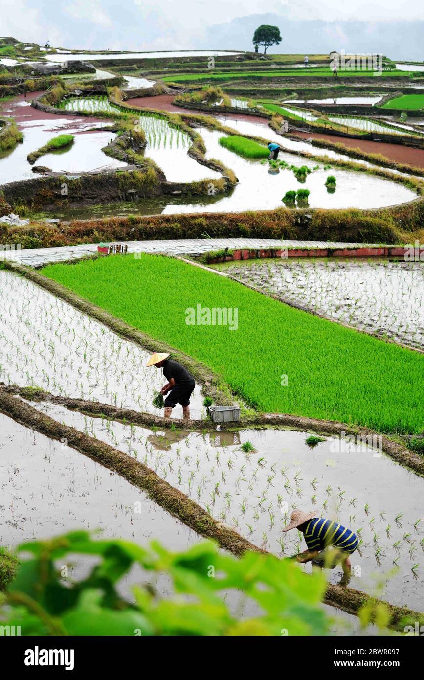 Guilin, China's Guangxi Zhuang Autonomous Region. 2nd June, 2020 ...
