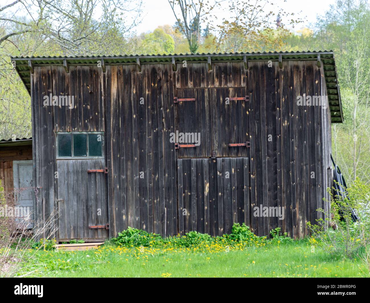 spring picture with a simple wooden shed in the yard Stock Photo - Alamy