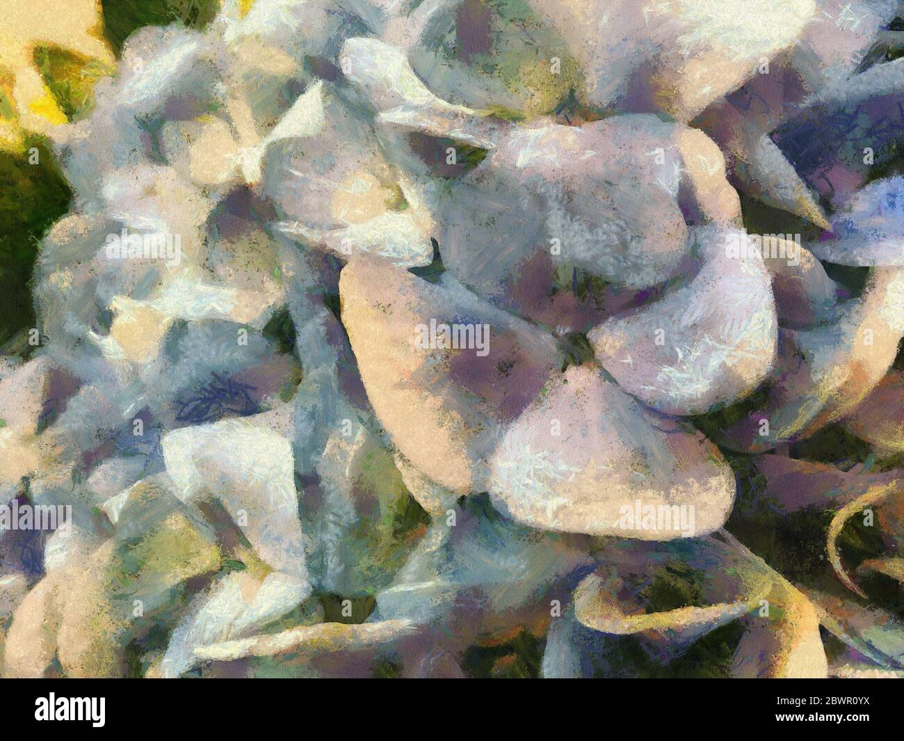 The bouquet is white and purple. Illustrations creates an impressionist ...