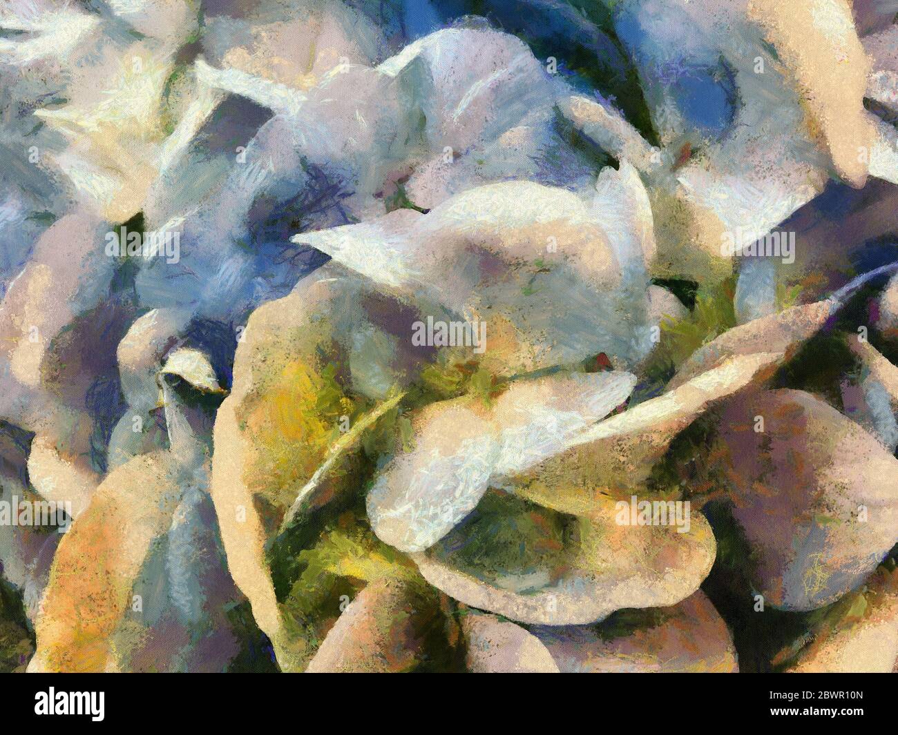 The bouquet is white and purple. Illustrations creates an impressionist ...