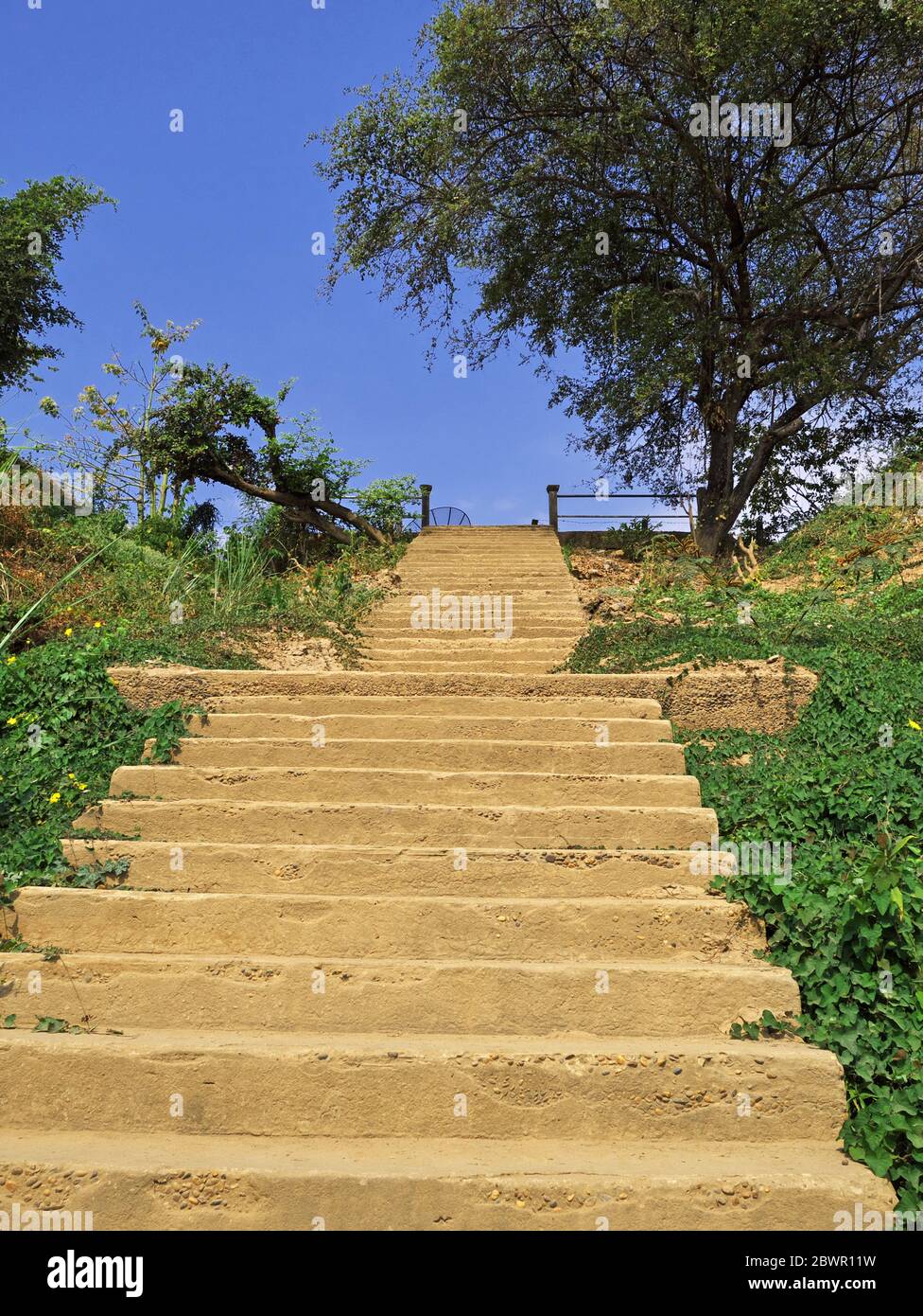 The steps on Mekong river, Laos Stock Photo - Alamy