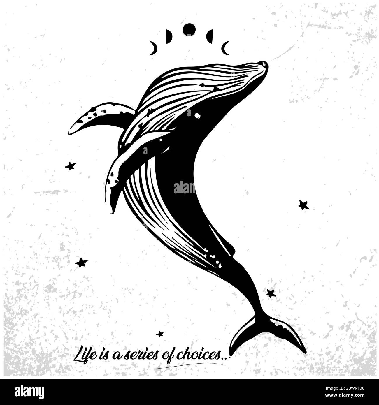 Cartoon Whale Black and White Stock Photos & Images - Alamy