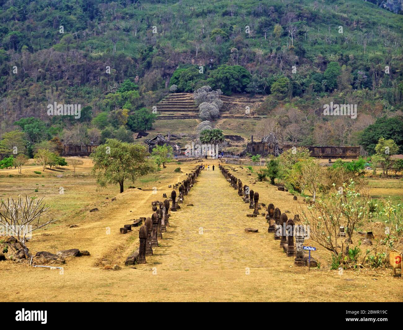 Vat Phou temple in Laos Stock Photo - Alamy