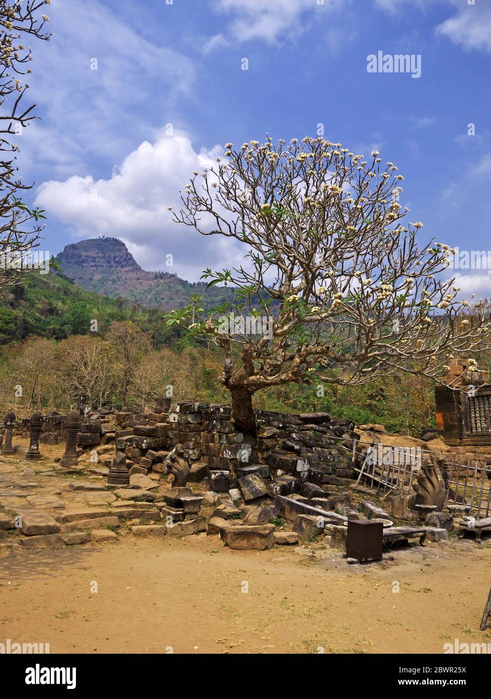 Vat Phou temple in Laos Stock Photo - Alamy