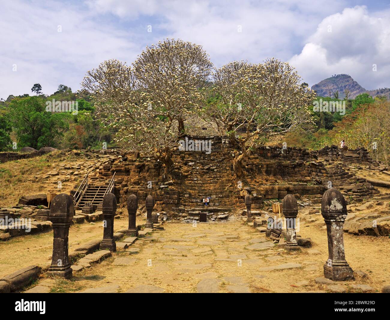 Vat Phou temple in Laos Stock Photo - Alamy