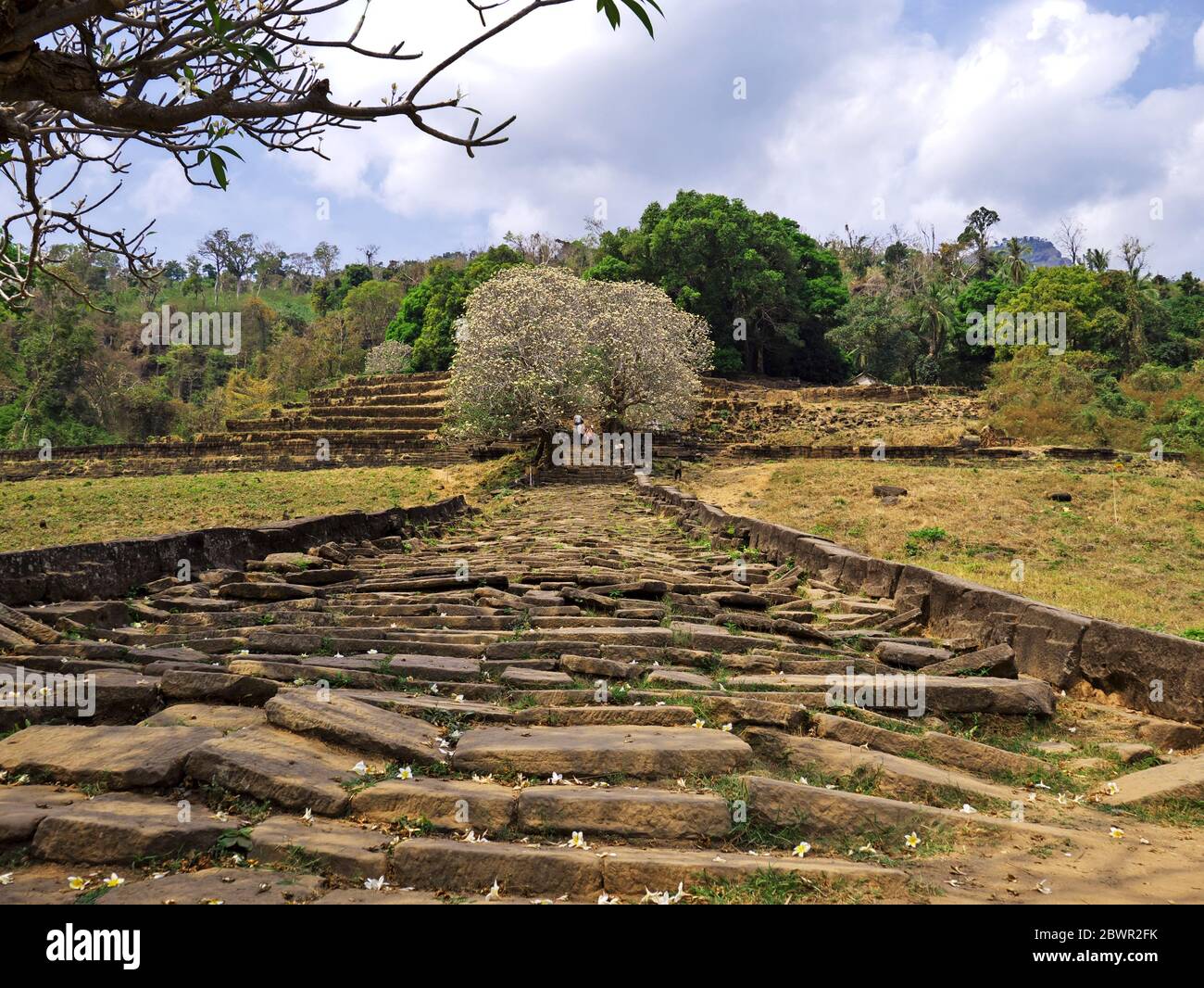 Vat Phou temple in Laos Stock Photo - Alamy