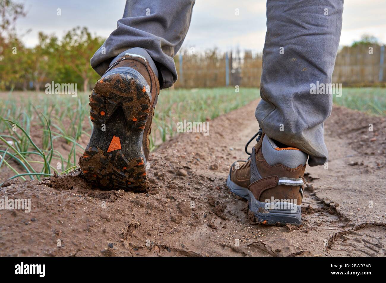 Onion Boot High Resolution Stock Photography and Images - Alamy