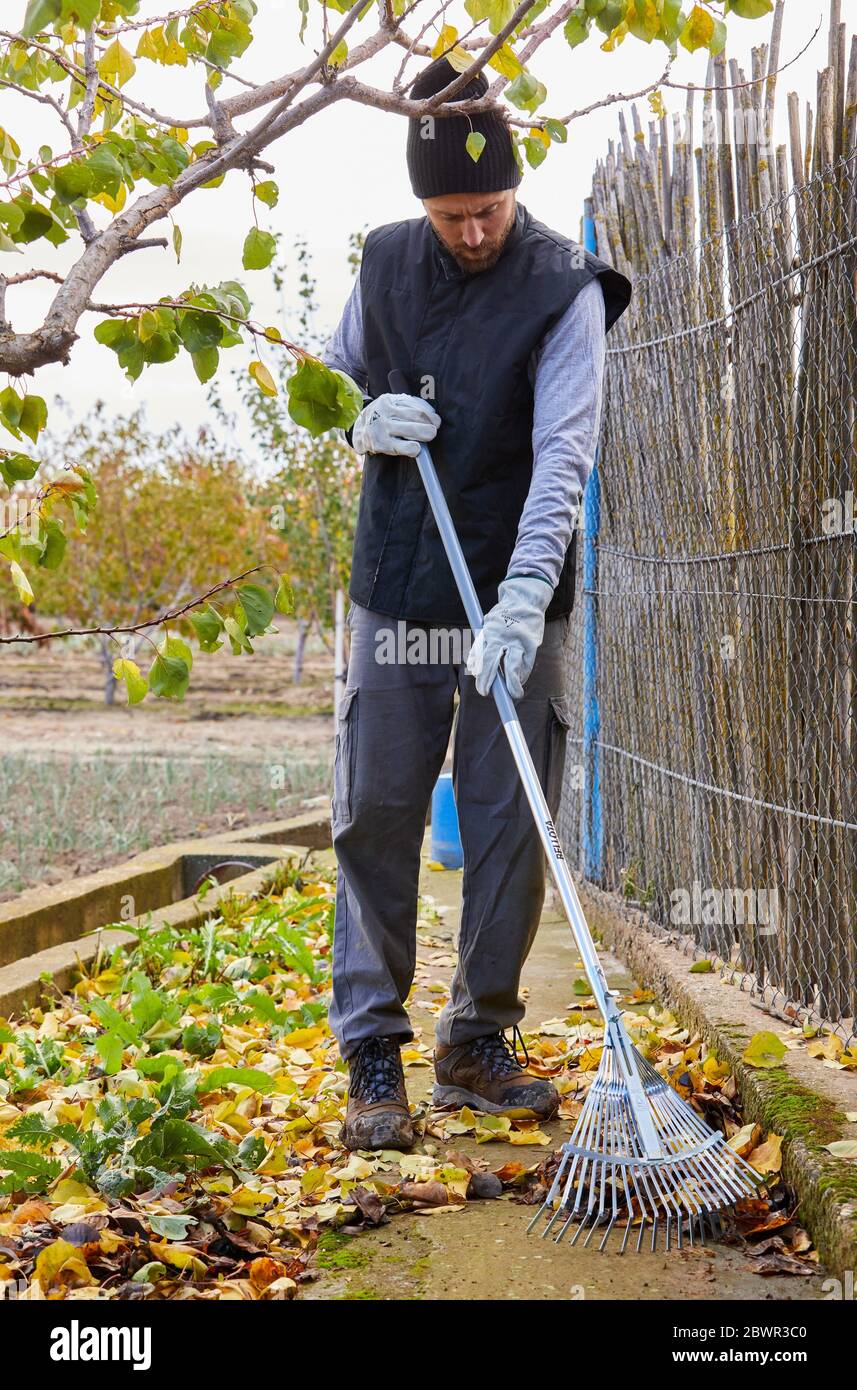 Human leaf hi-res stock photography and images - Alamy