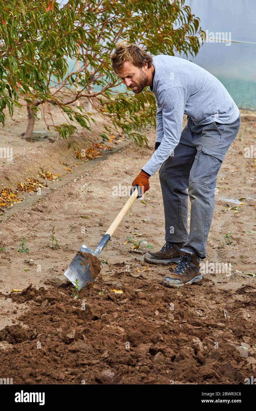 Farmer digging hi-res stock photography and images - Alamy