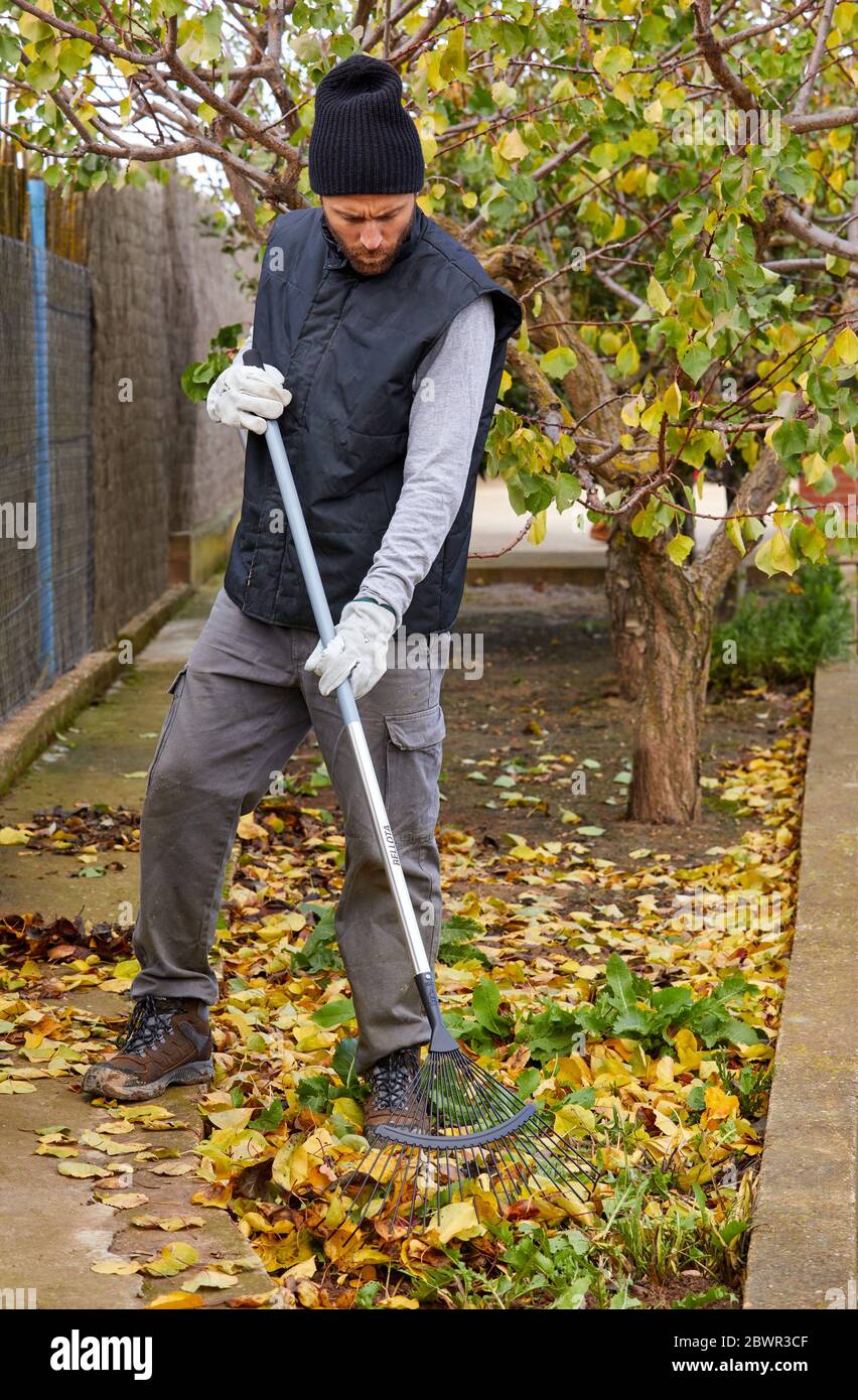 Collecting leaves hi-res stock photography and images - Alamy