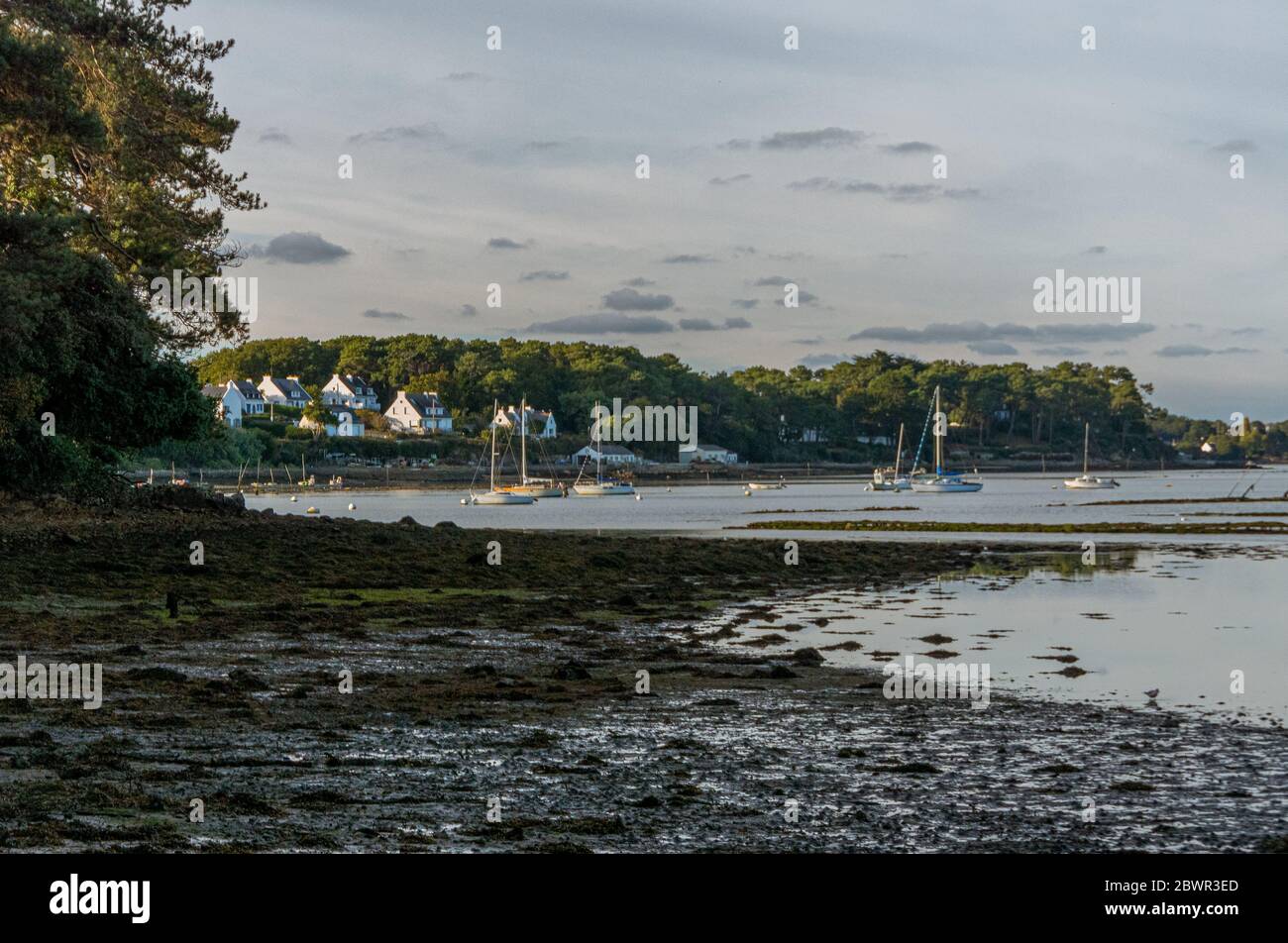 Larmor-Baden from Bender Island in the Gulf of Morbihan. France Stock ...