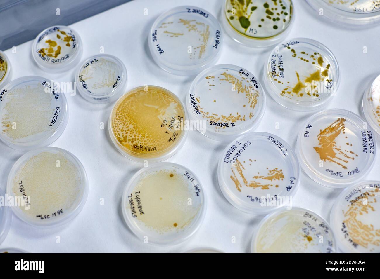 Environment High Resolution Stock Photography and Images - Alamy