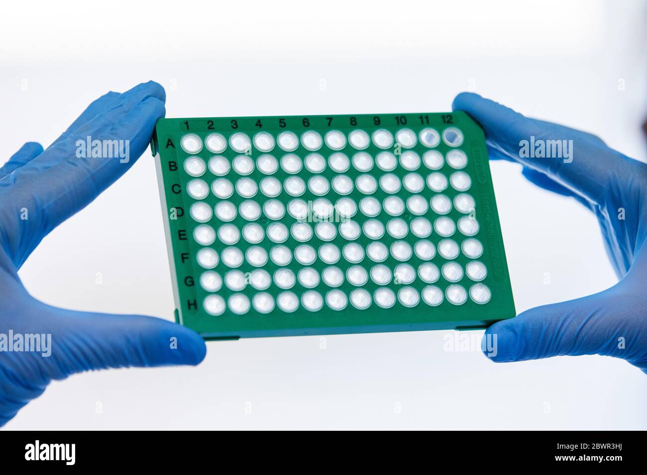 96 well plate hi-res stock photography and images - Alamy