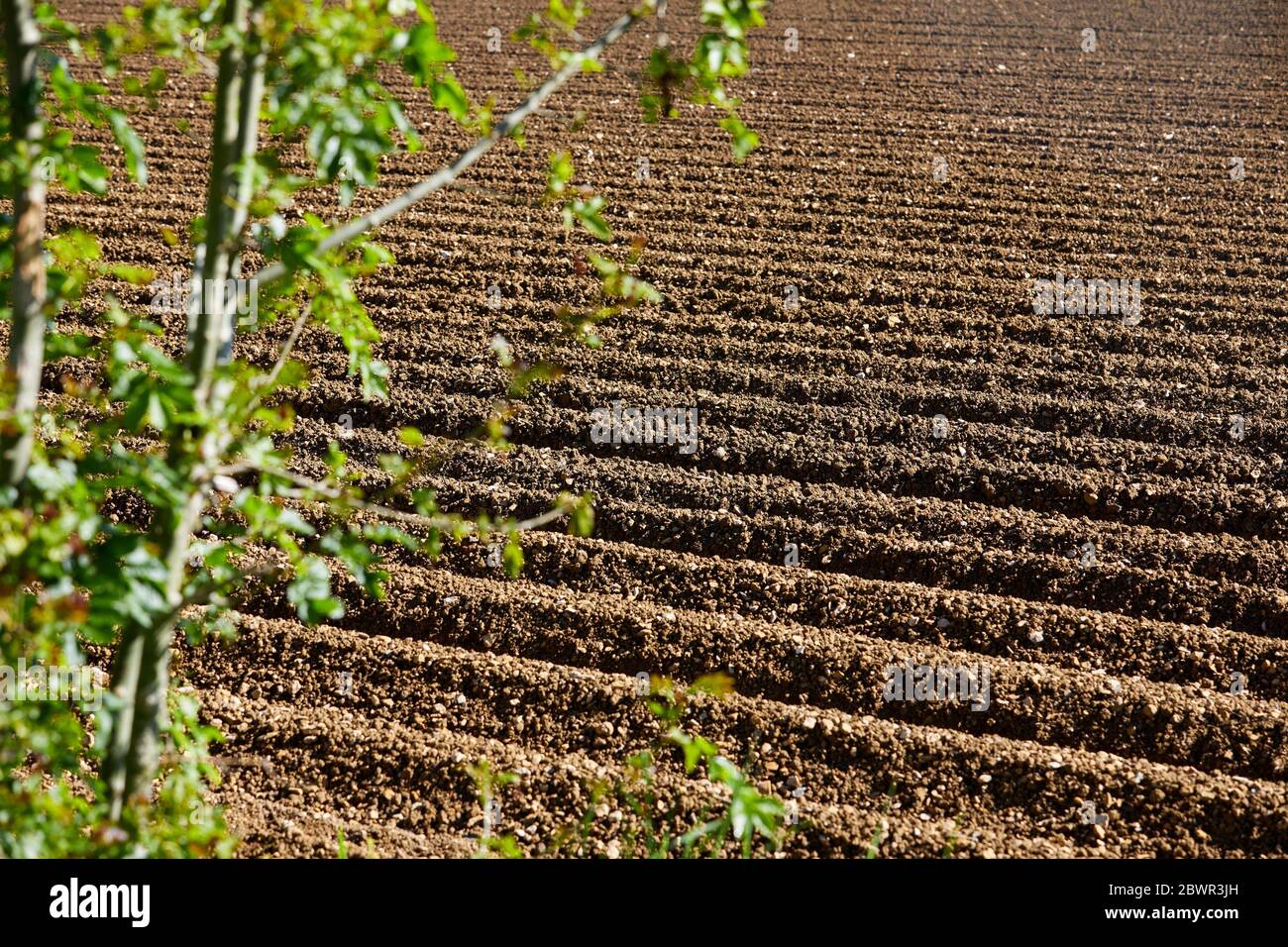 Agricultural landscape spain hi-res stock photography and images - Alamy