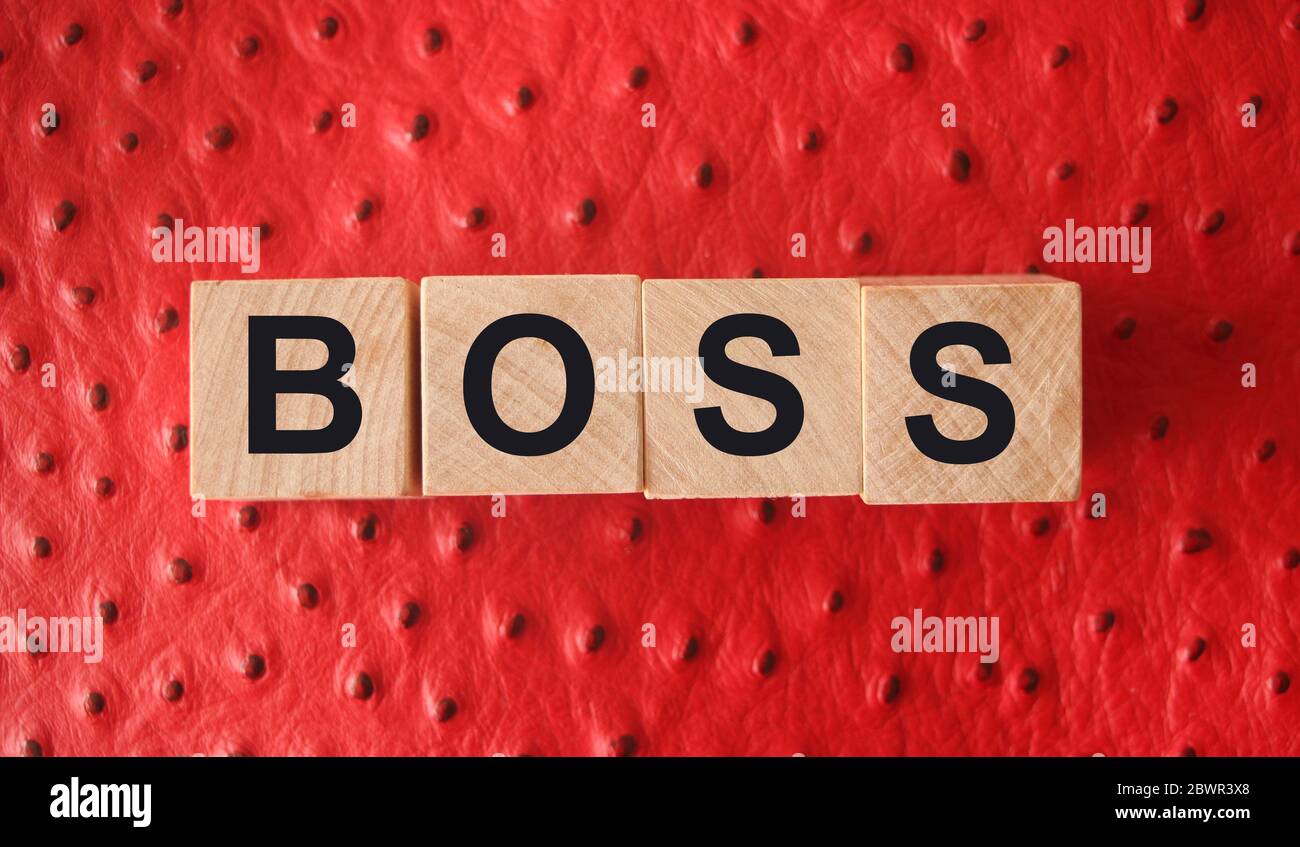 Boss word letters on a wooden cubes put on red leather. Business leader ...