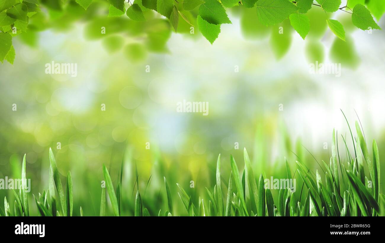 Abstract art environment hi-res stock photography and images - Alamy