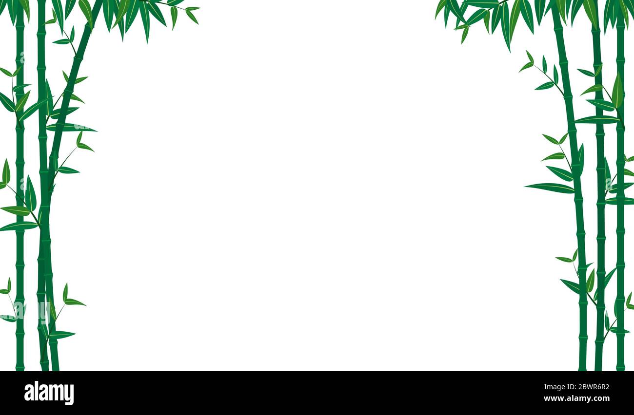 Bamboo growth Stock Vector Images - Alamy