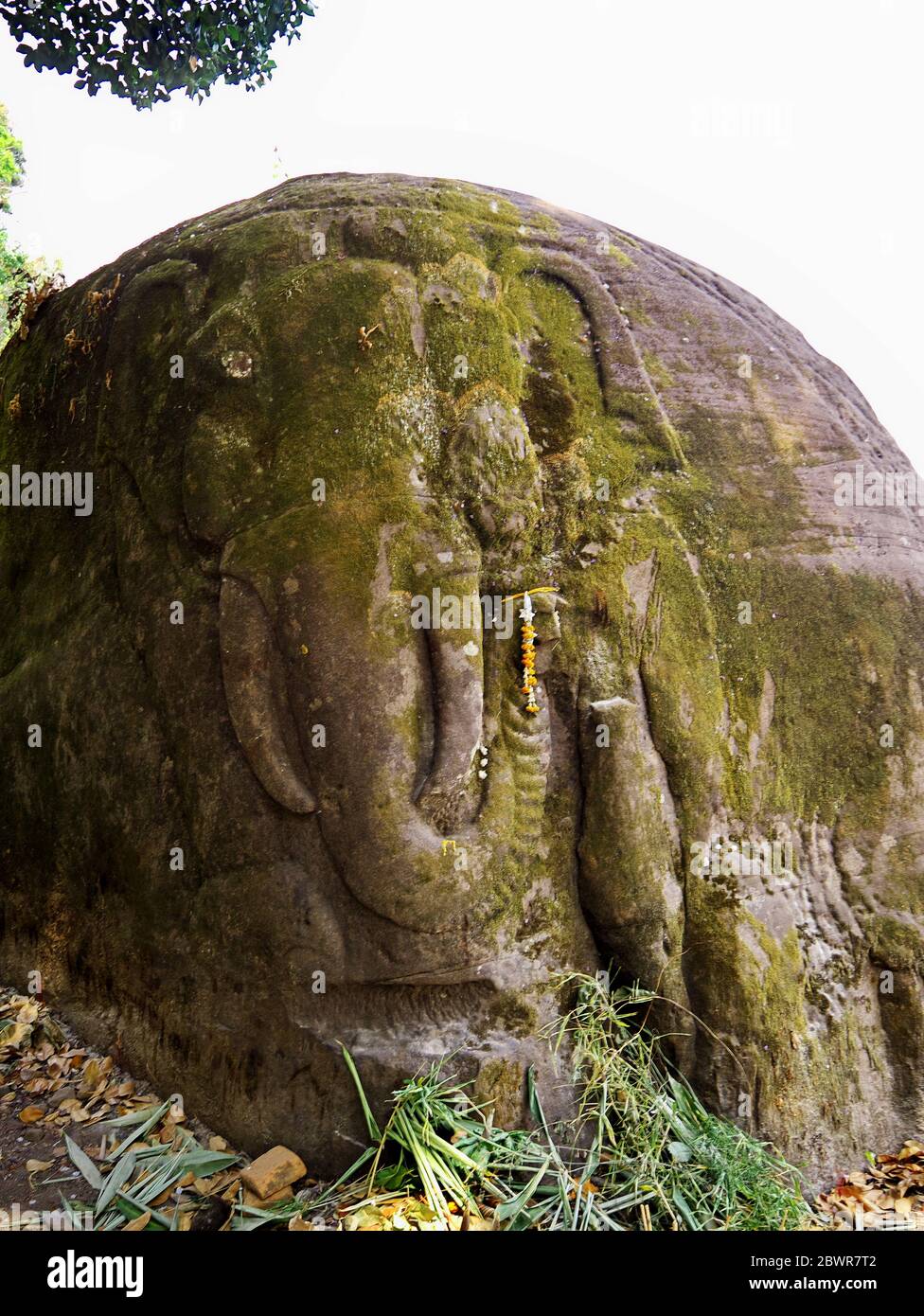 Vat Phou temple in Laos Stock Photo - Alamy