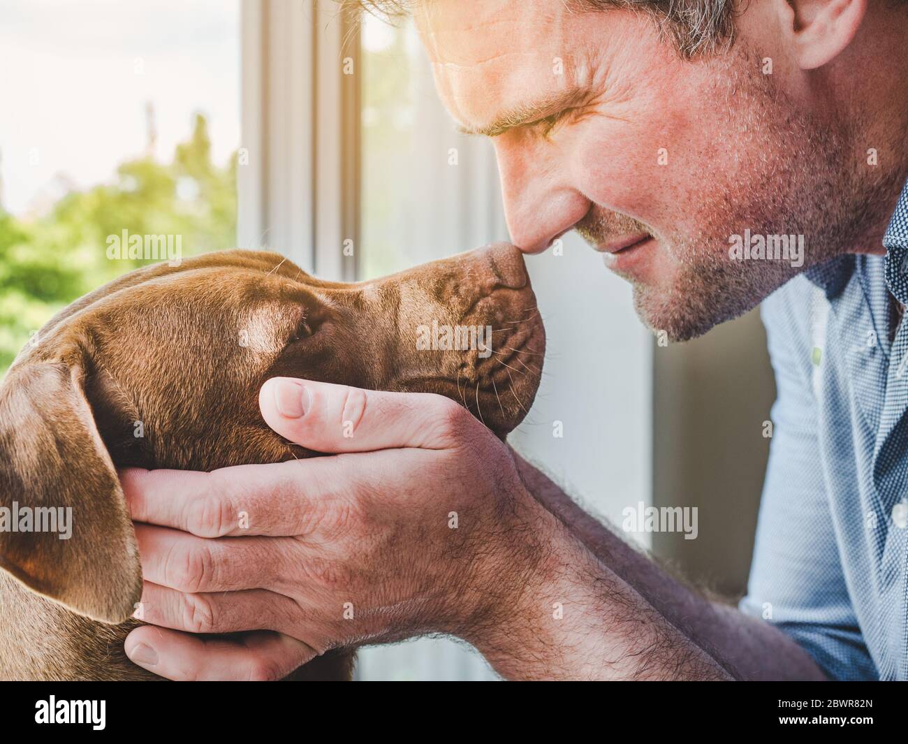 Man and animal close up hi-res stock photography and images - Alamy