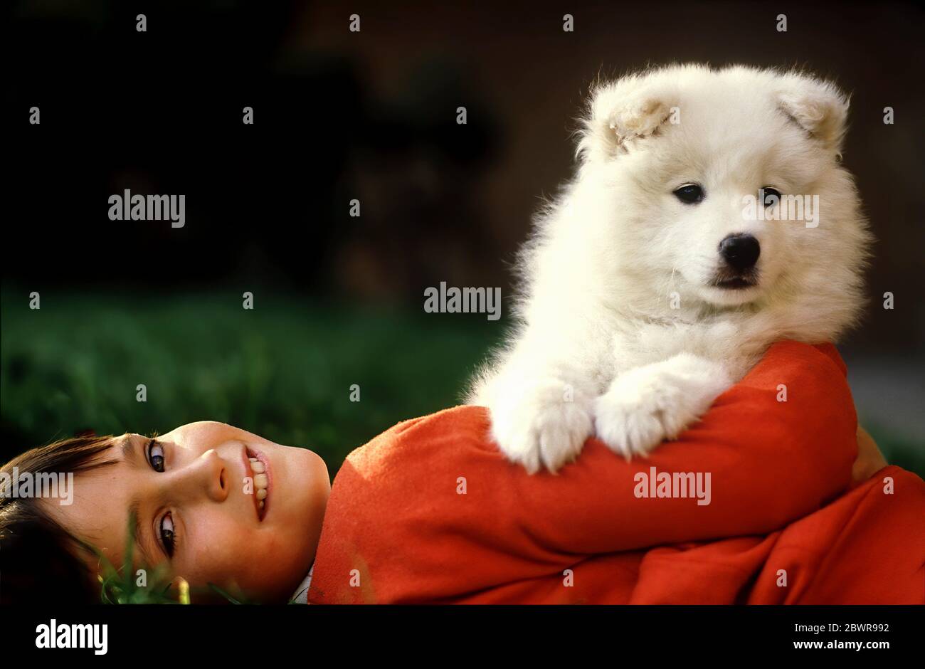 Boy and dog hi-res stock photography and images - Alamy
