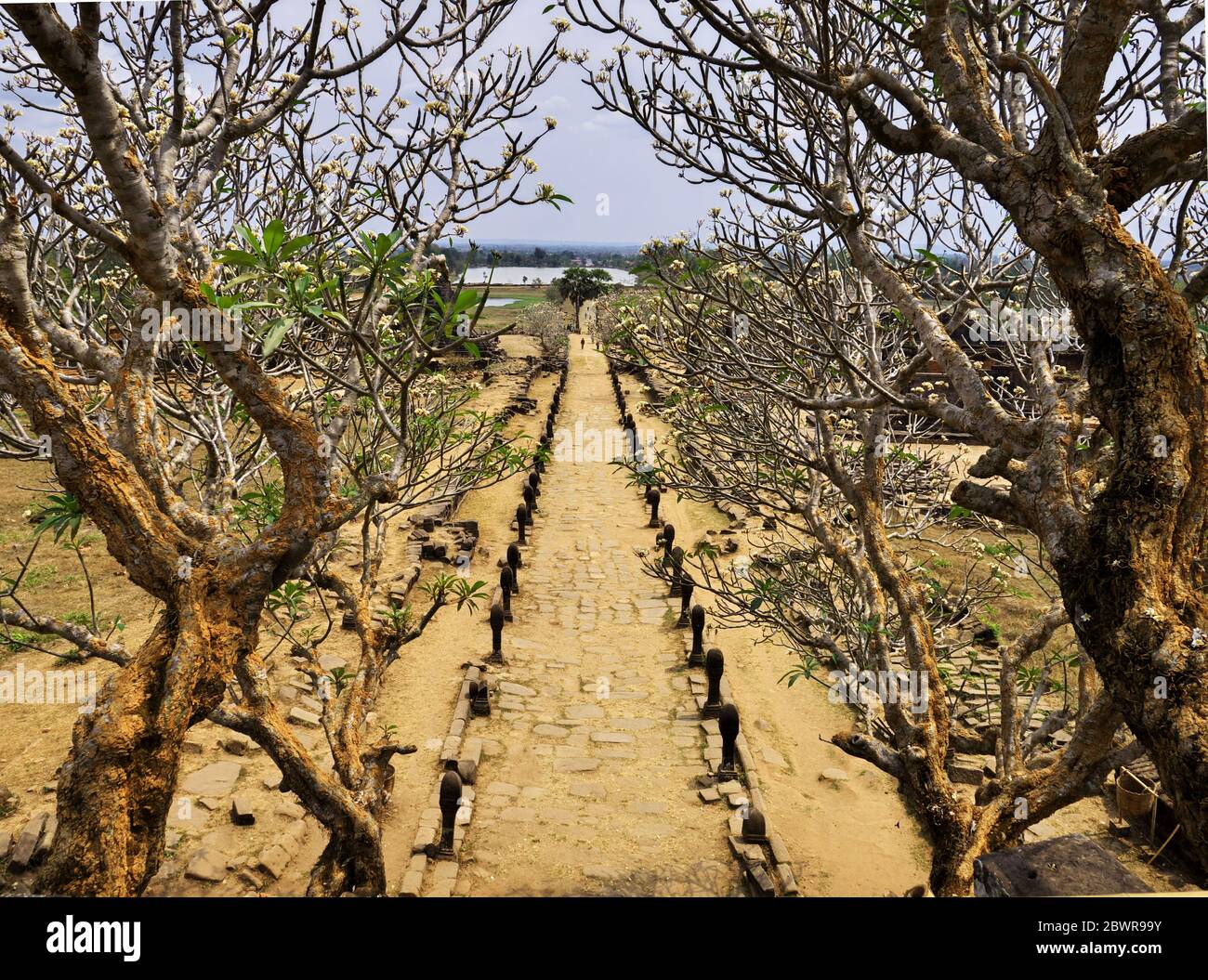 Vat Phou temple in Laos Stock Photo - Alamy