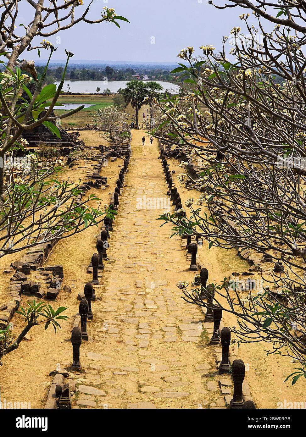 Vat Phou temple in Laos Stock Photo - Alamy
