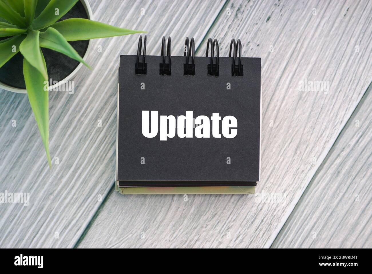 UPDATE text with decorative plant and notepad on wooden background ...