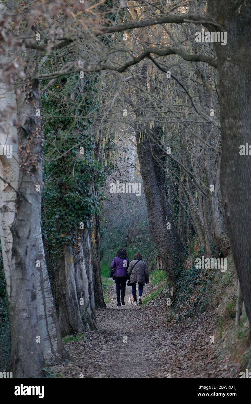 Women seen from behind hi-res stock photography and images - Alamy