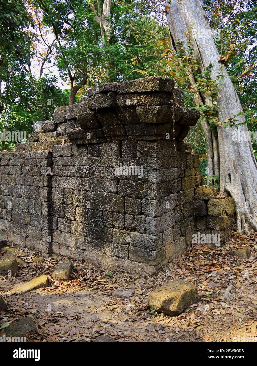 Ancient ruins in Jungle of Laos Stock Photo - Alamy